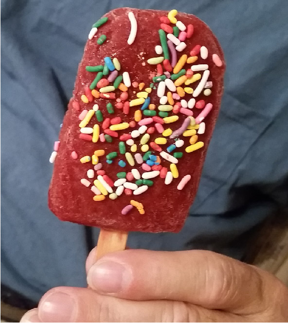 Dairy-Free Strawberry Raspberry Popsicle Recipe - The Kitchen Wizard